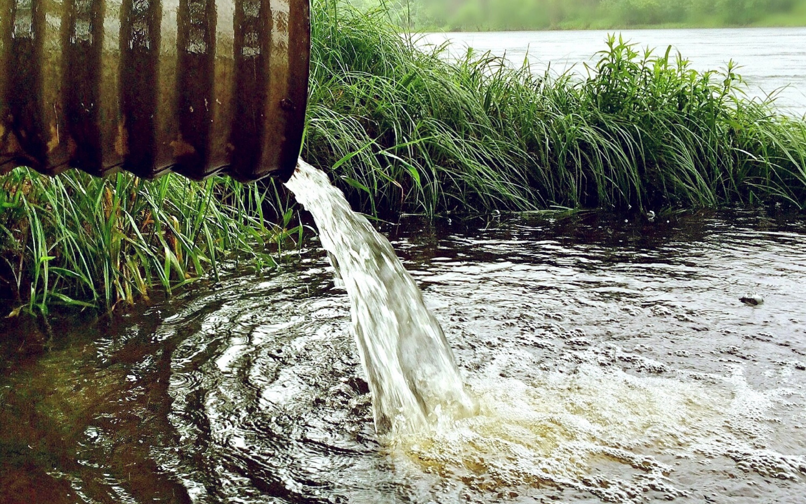ERG Supports EPA’s First Clean Water Act Enforcement Action to Address ...