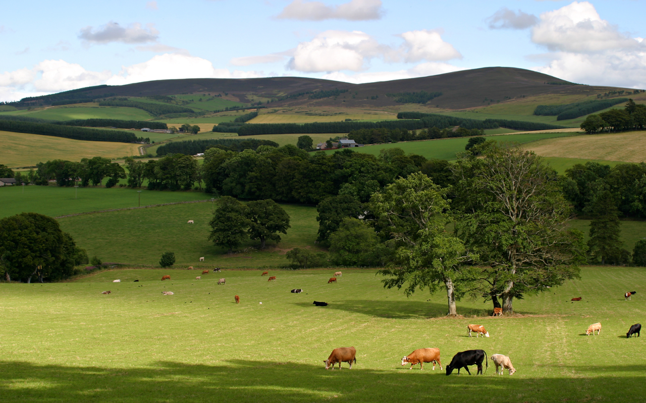 News | ERG (Eastern Research Group Inc.)