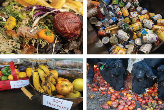 Updating EPA’s Wasted Food Report | ERG (Eastern Research Group Inc.)